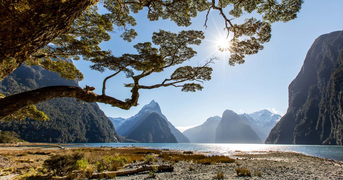 Real Journeys NZ Media release: a finalist for 'Business Excellence' in ...
