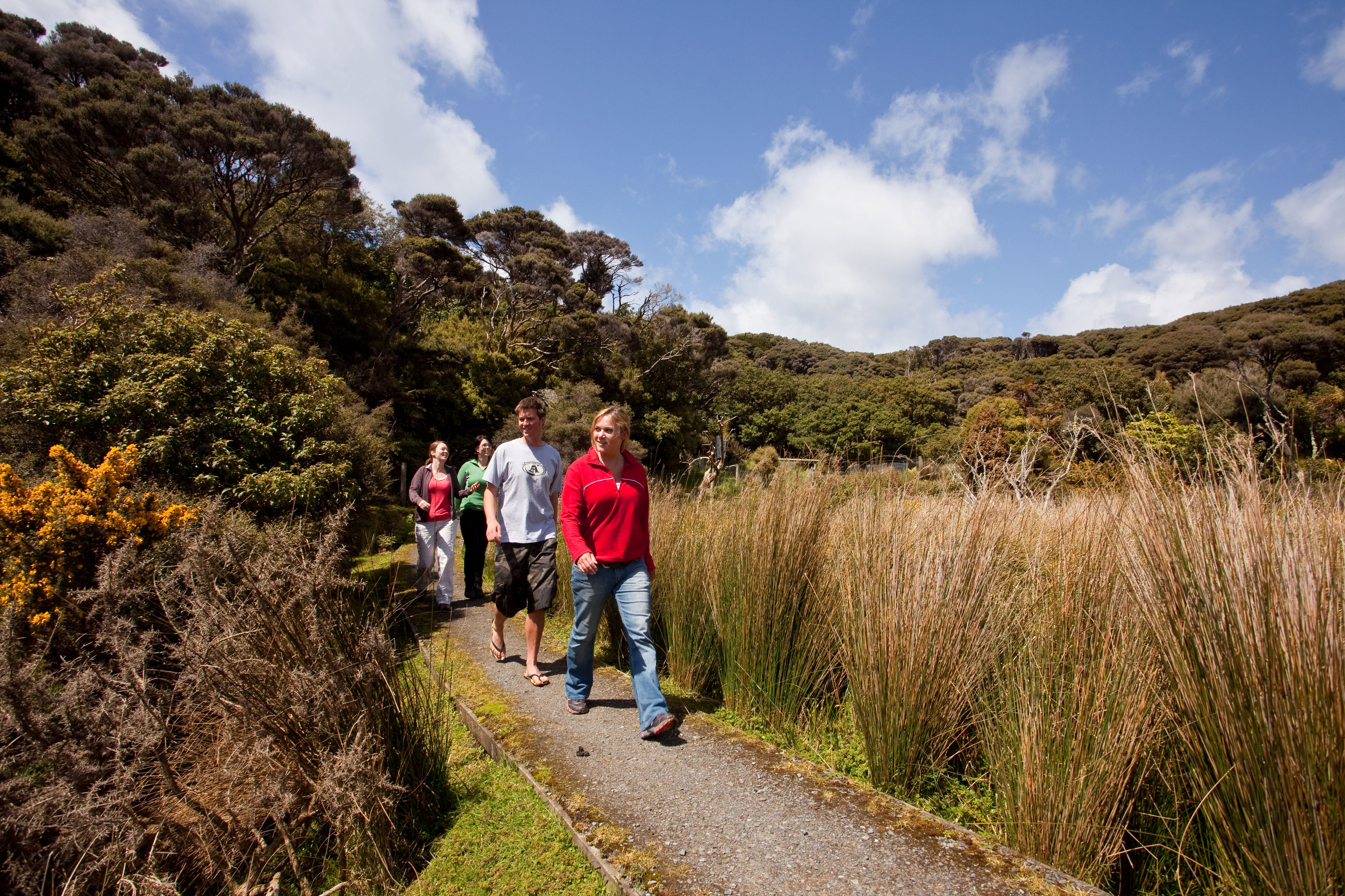 Discover Stewart Island | Rakiura National Park | RealNZ