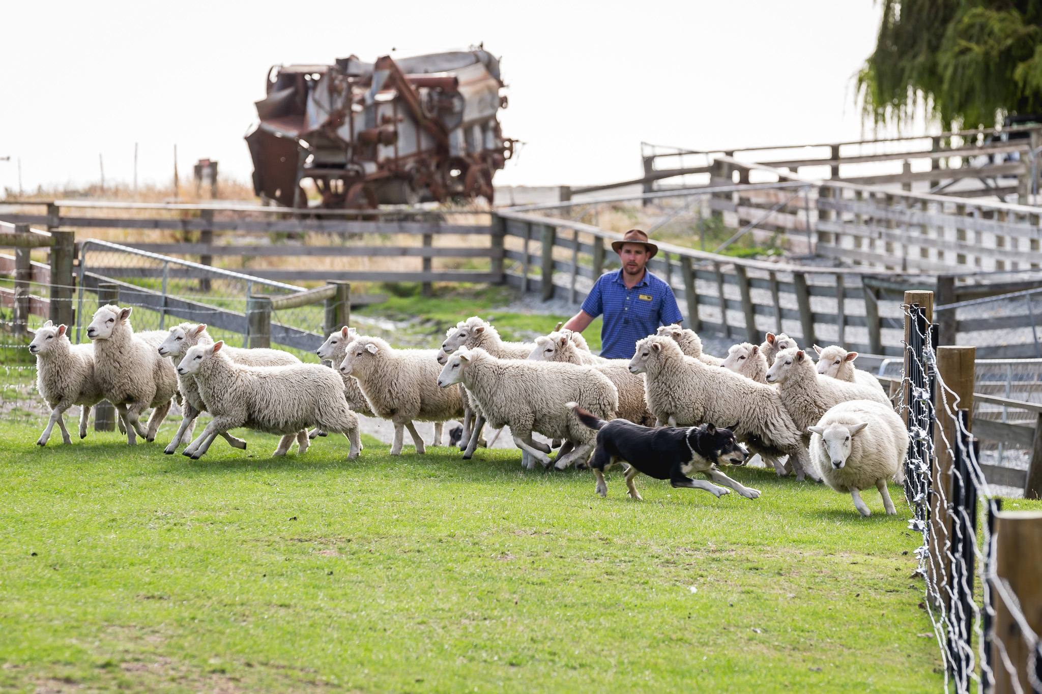 Walter Peak High Country Farm | RealNZ