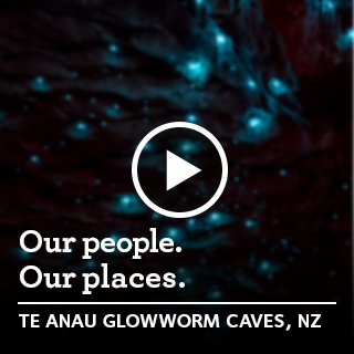 Incredible Glow Worm Facts To Blow Your Mind | RealNZ