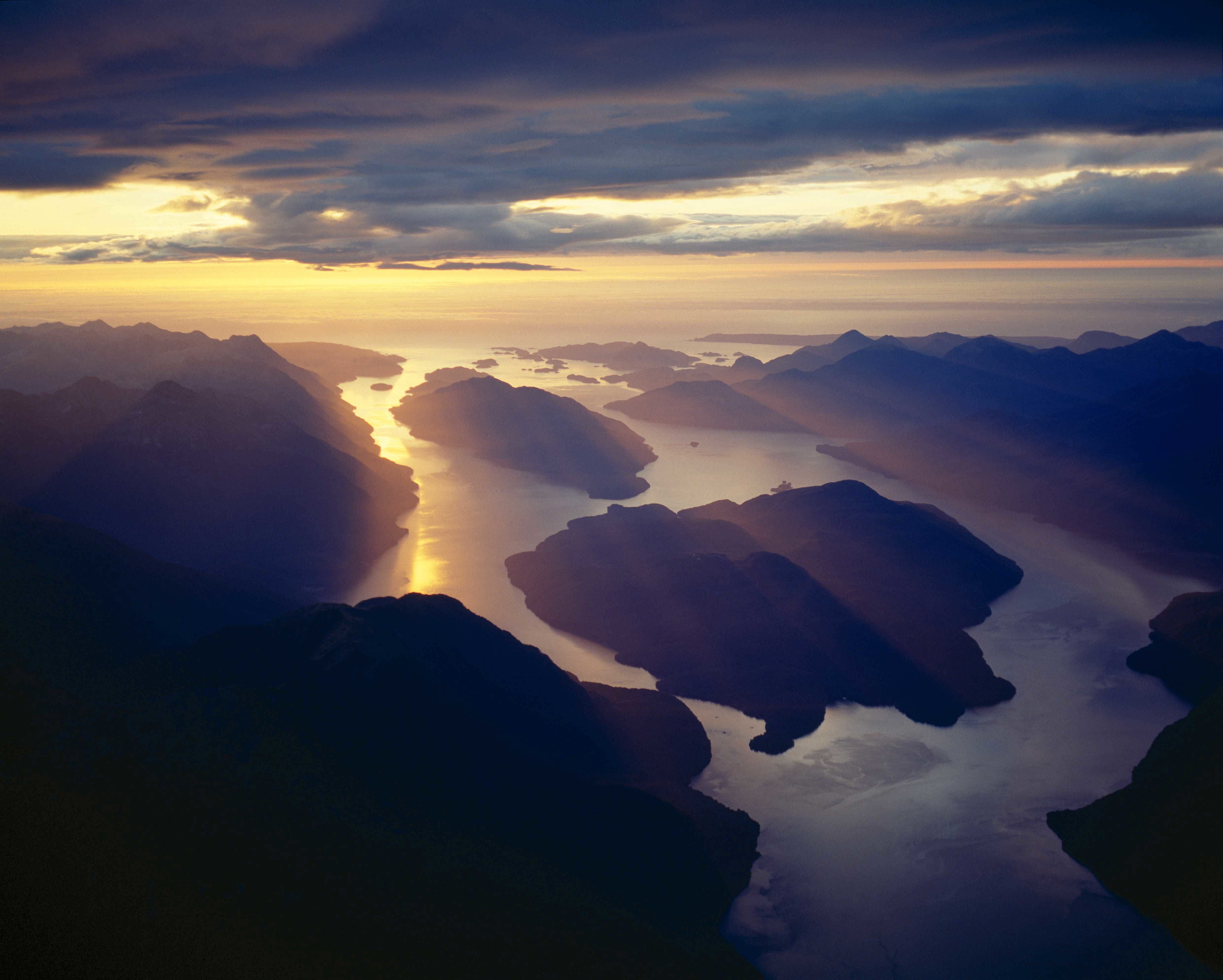 Cooper Island Restoration Project | RealNZ