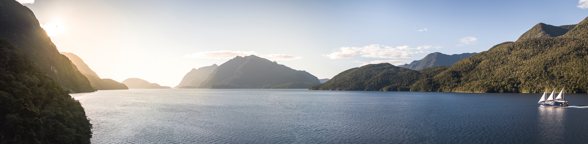 Media | Real New Zealand