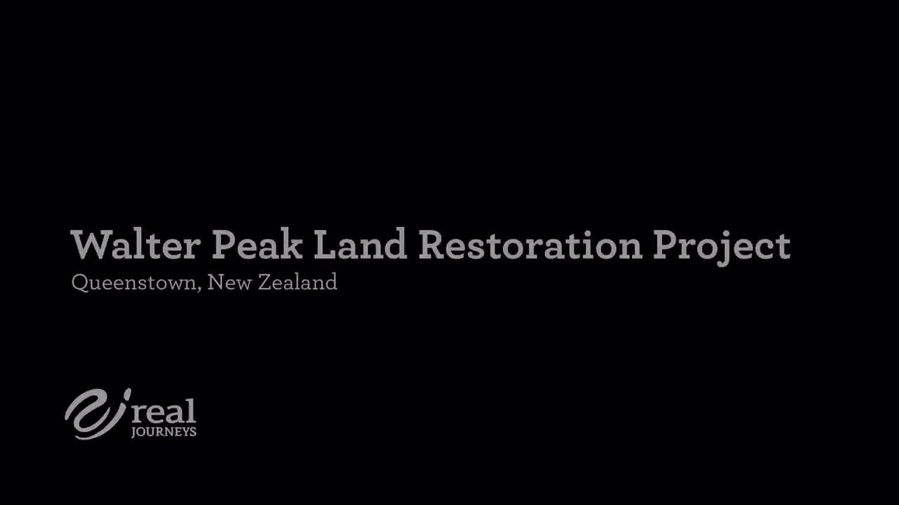 The history of Walter Peak | realnz