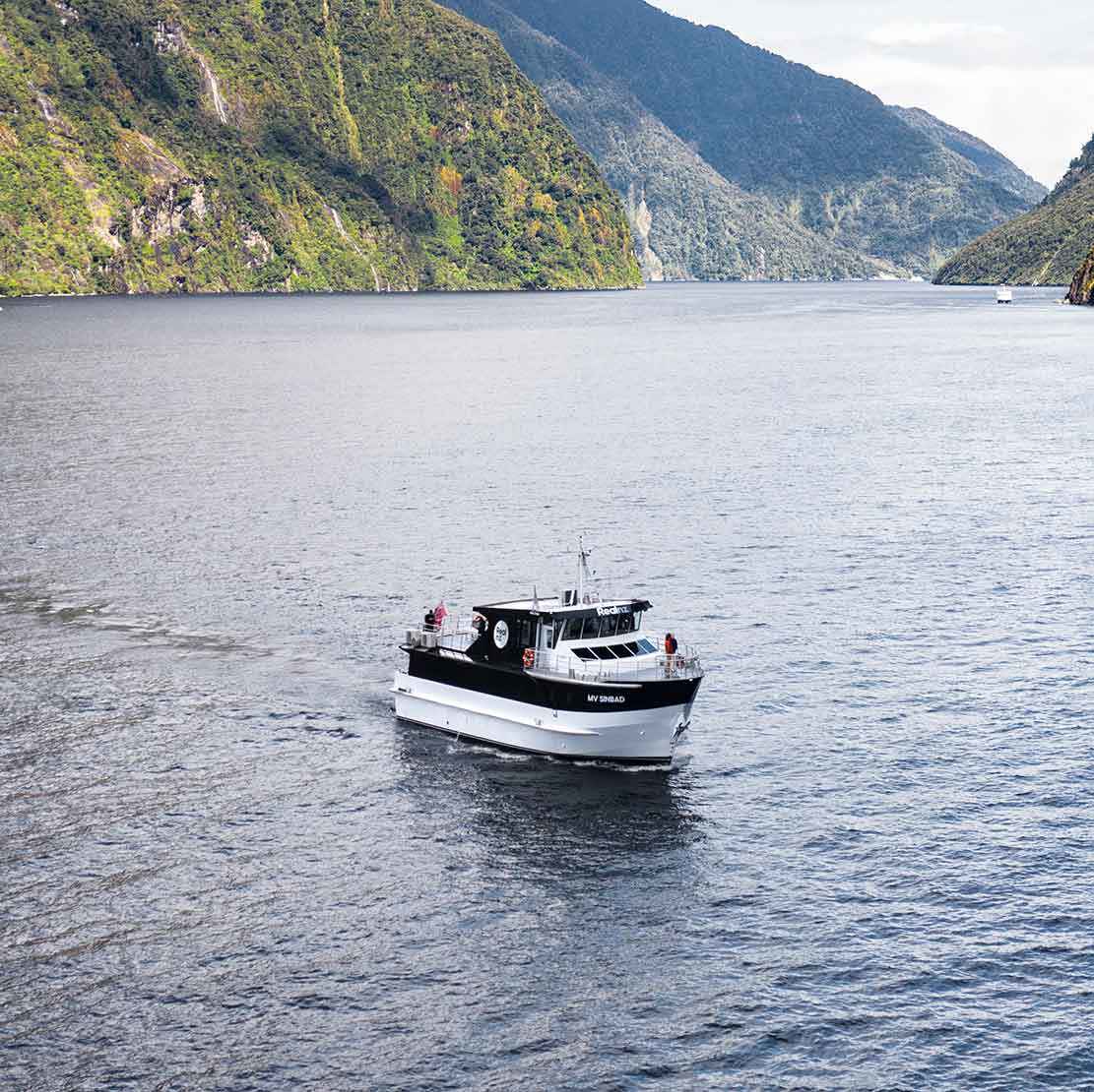 米尔福德峡湾日间游船