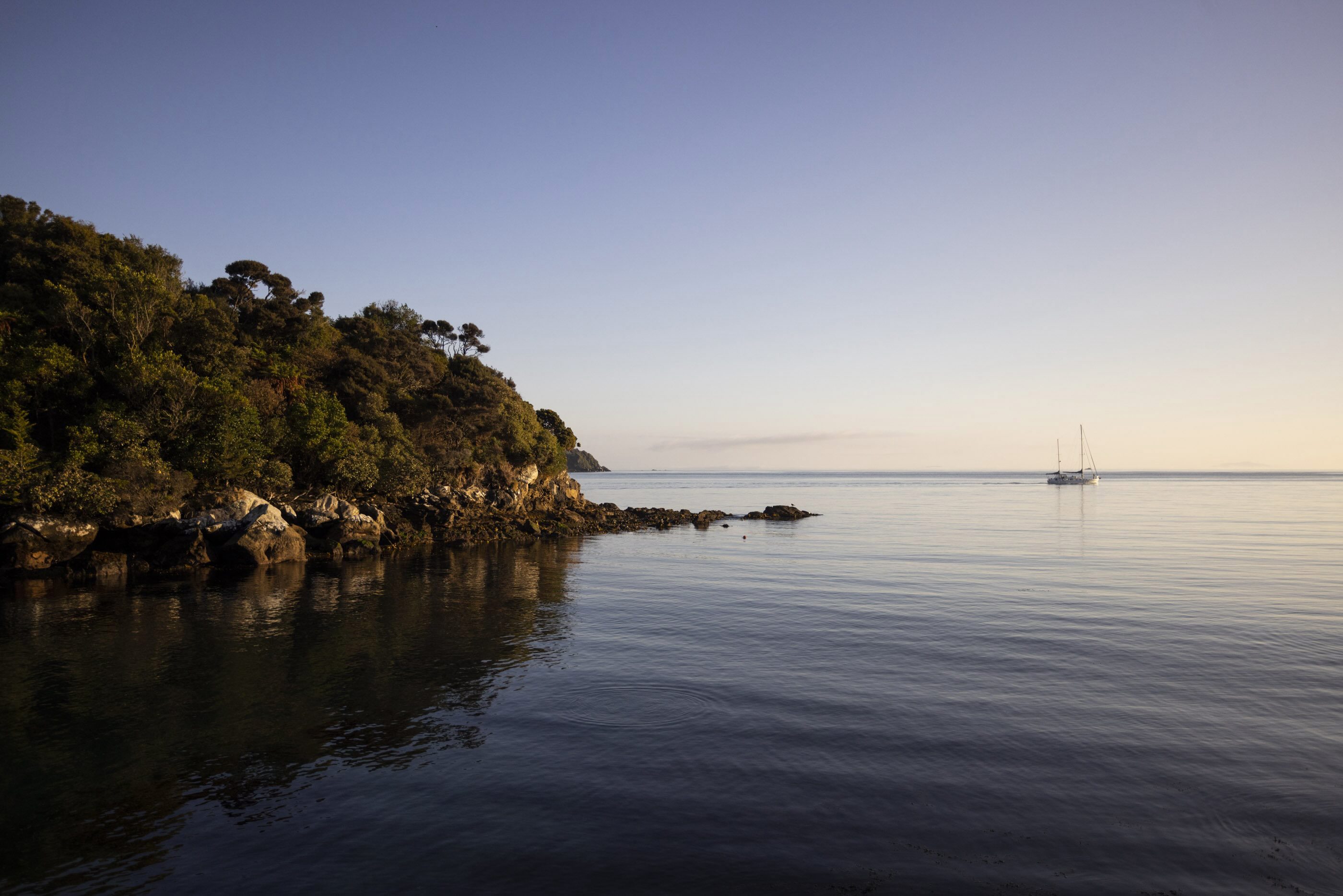 Discover Oban | RealNZ