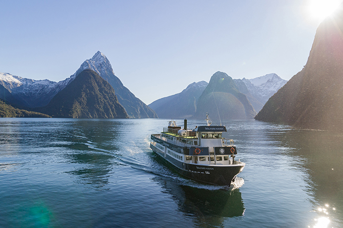 Best Things to Do in Milford Sound | Top Attractions & Activities