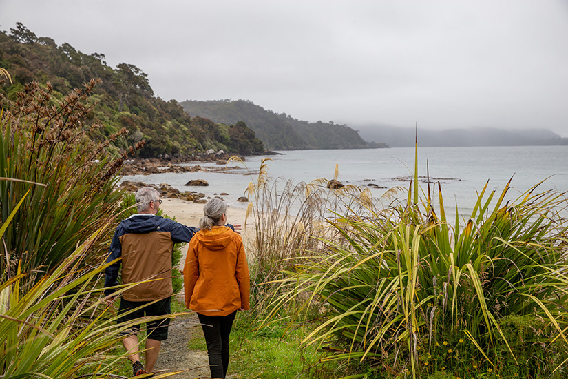 Stewart Island Village & Bays Tour | RealNZ