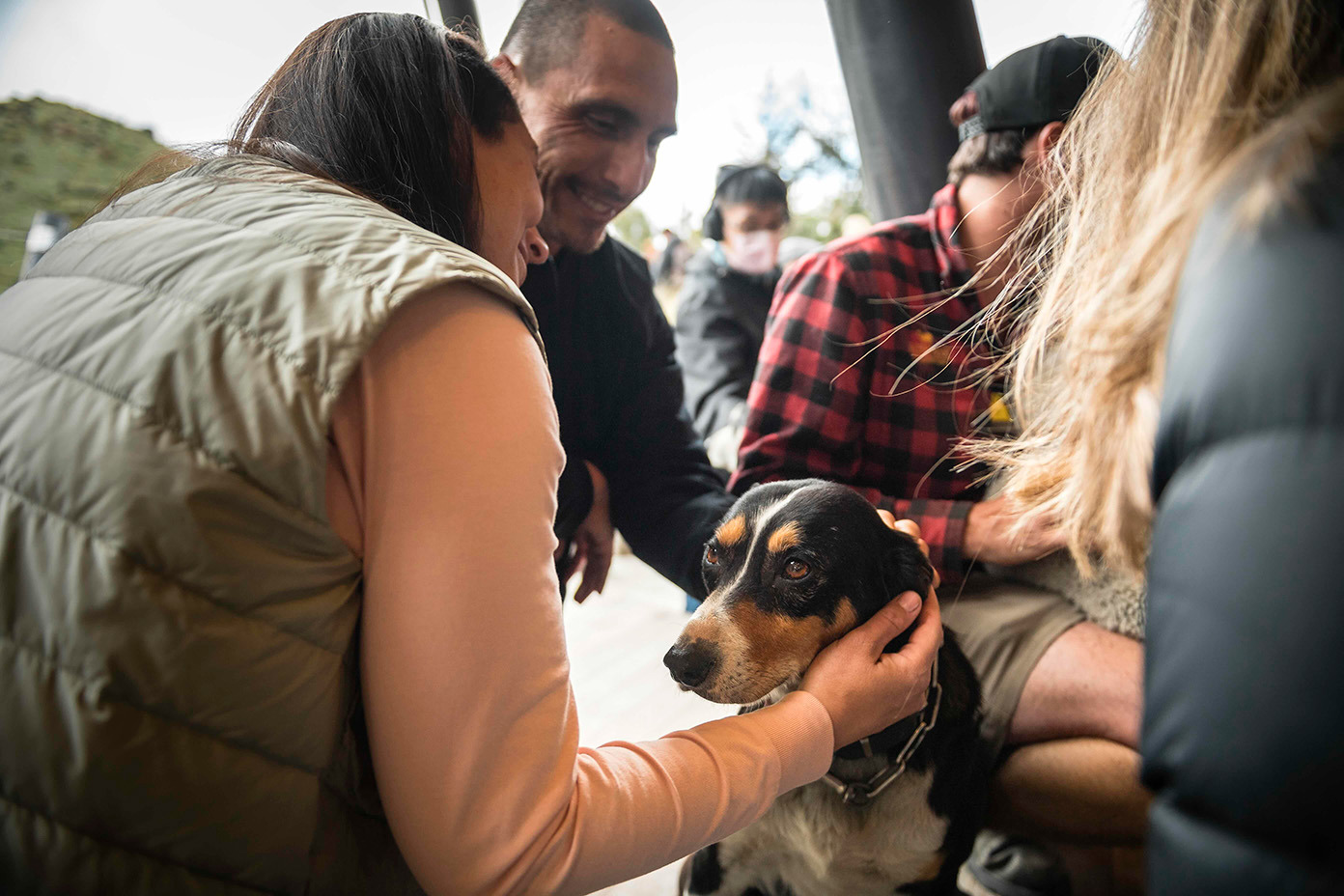 Walter Peak Farm Tour & Sheepdog Demonstration | RealNZ