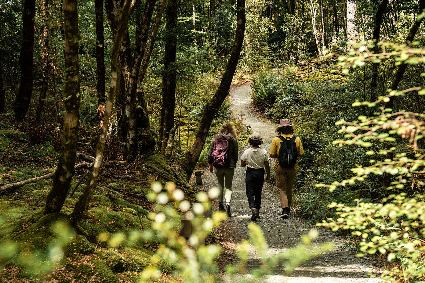 Te Anau, NZ | Activities & Things to Do in Te Anau