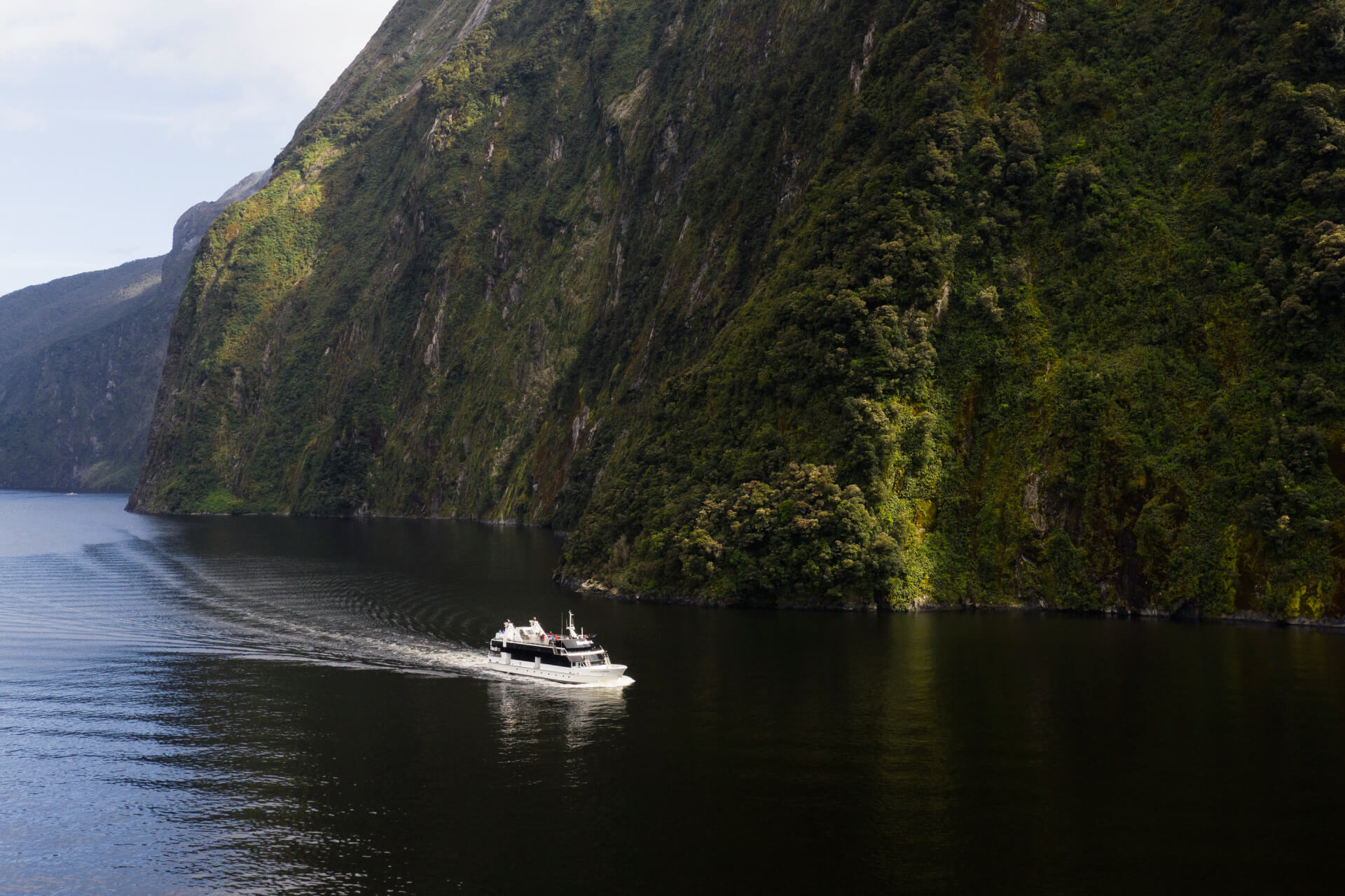 Milford Sound Premium Cruises | RealNZ
