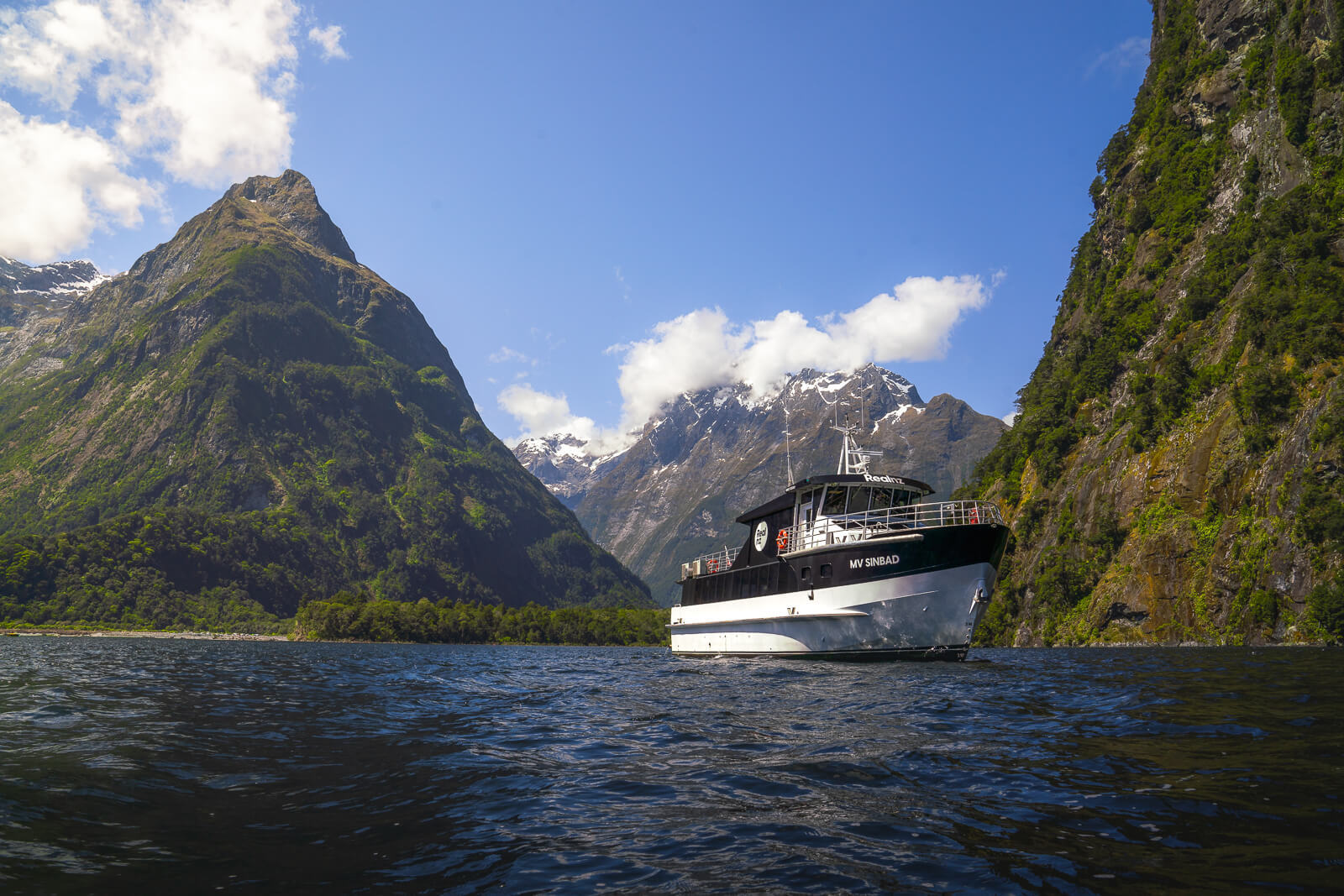 Milford Sound Business Class | RealNZ x Altitiude Tours