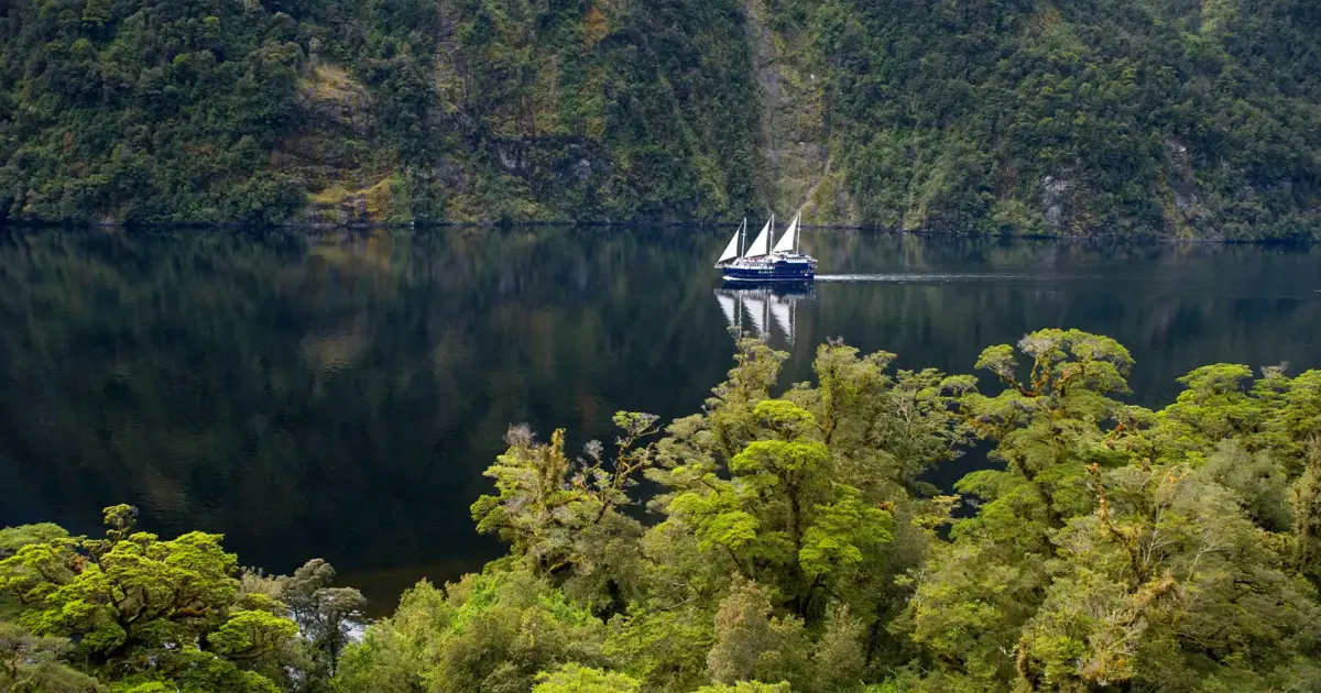 Save on amazing RealNZ experiences | RealNZ